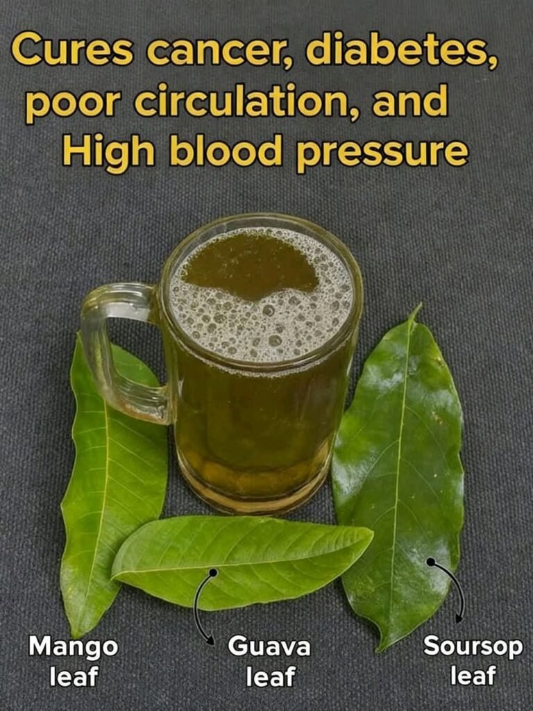 The Miracle Plant: Moringa Oleifera Cures cancer, diabetes, poor ...