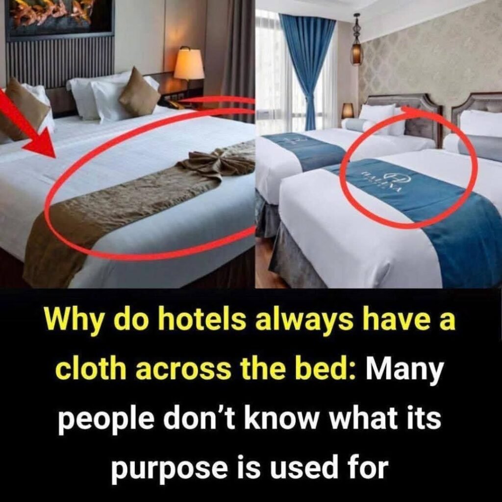 Why do hotels always have a cloth across the bed? 🧐 𝗖𝗵𝗲𝗰𝗸 𝟭𝘀𝘁 𝗰𝗼𝗺𝗺𝗲𝗻𝘁💬👇 ...